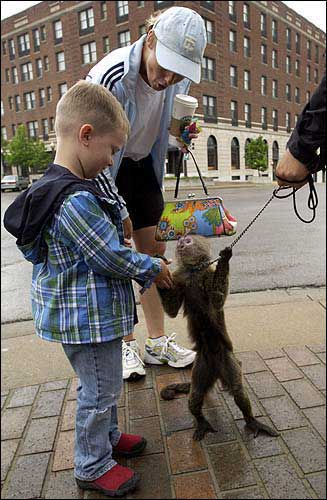 Monkey promotes circus | News, Sports, Jobs - Lawrence Journal-World ...